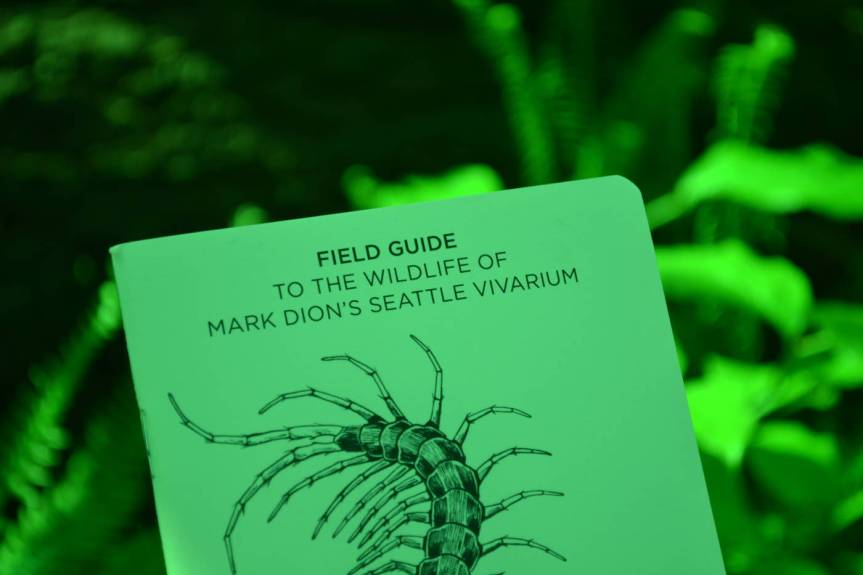 Atlas of Landscapes in a Room — INS 016