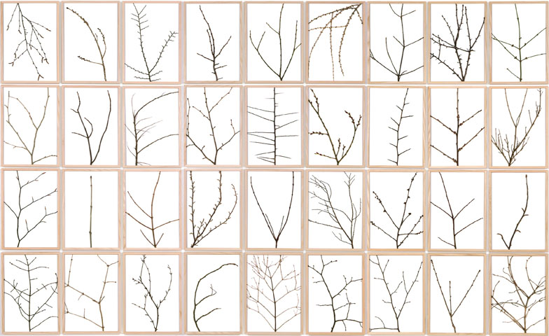 Atlas of Landscapes in a Room — COL 001