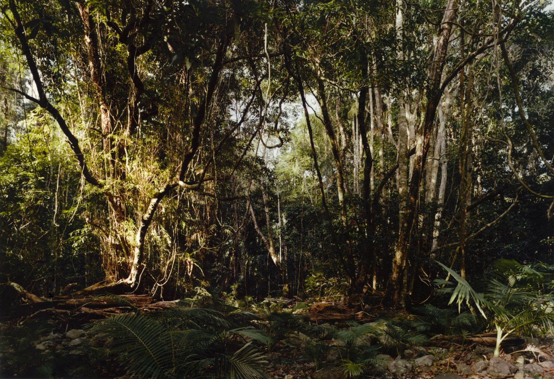 Atlas of Landscapes in a Room — PHO 007